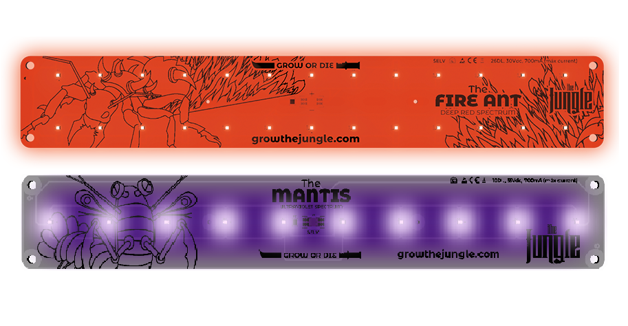 MANTIS+FIRE ANT - Hotchilli.cz