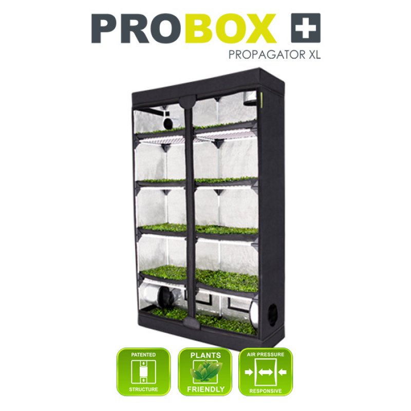 PROBOX Propagator - Hotchilli.cz