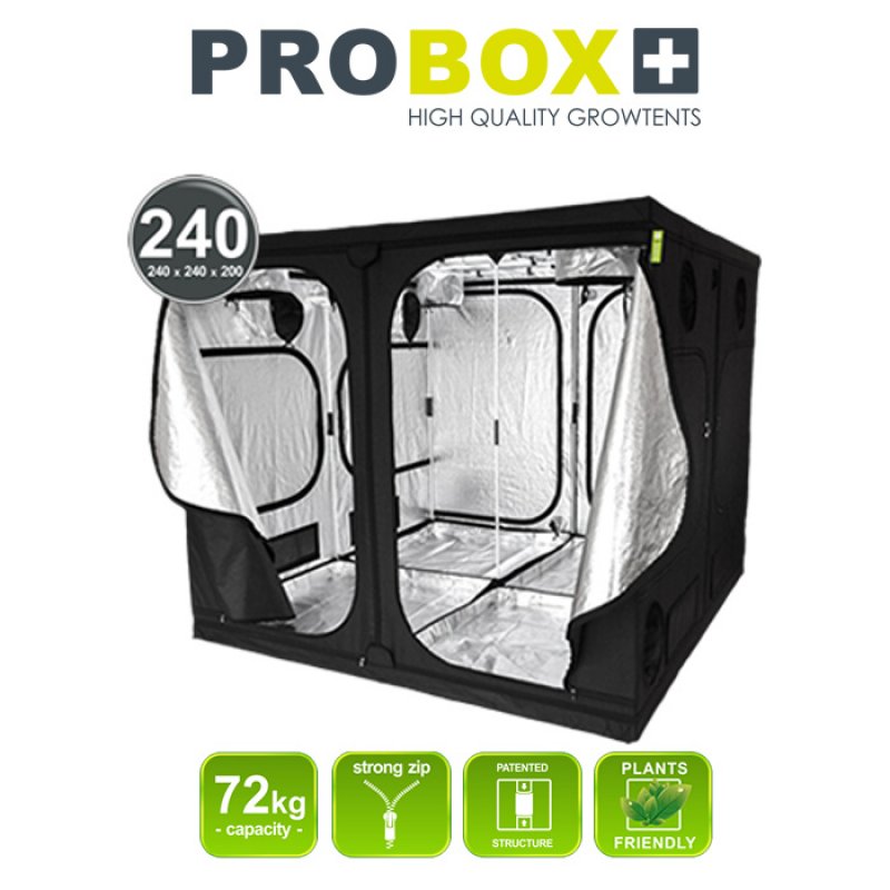 PROBOX Master - hotchilli.cz